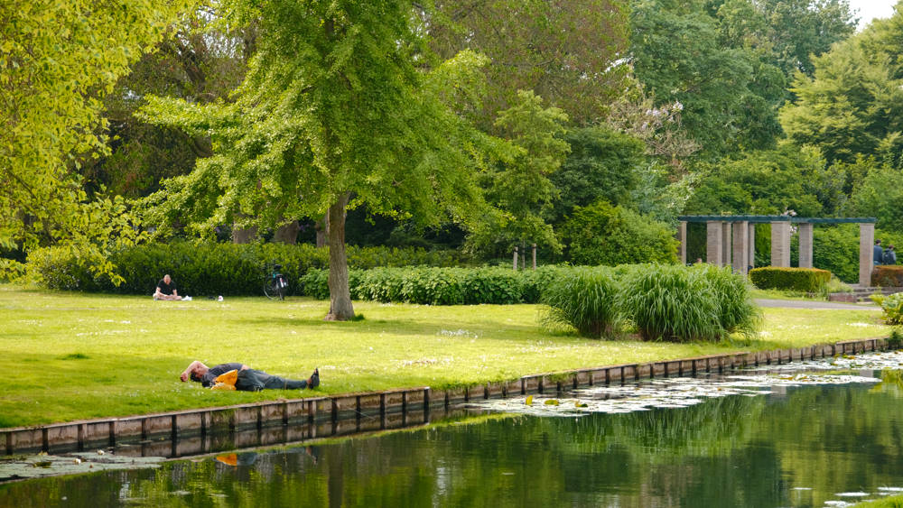 Dit zijn de stadsparken van Bussum - Gooiswonen.nl